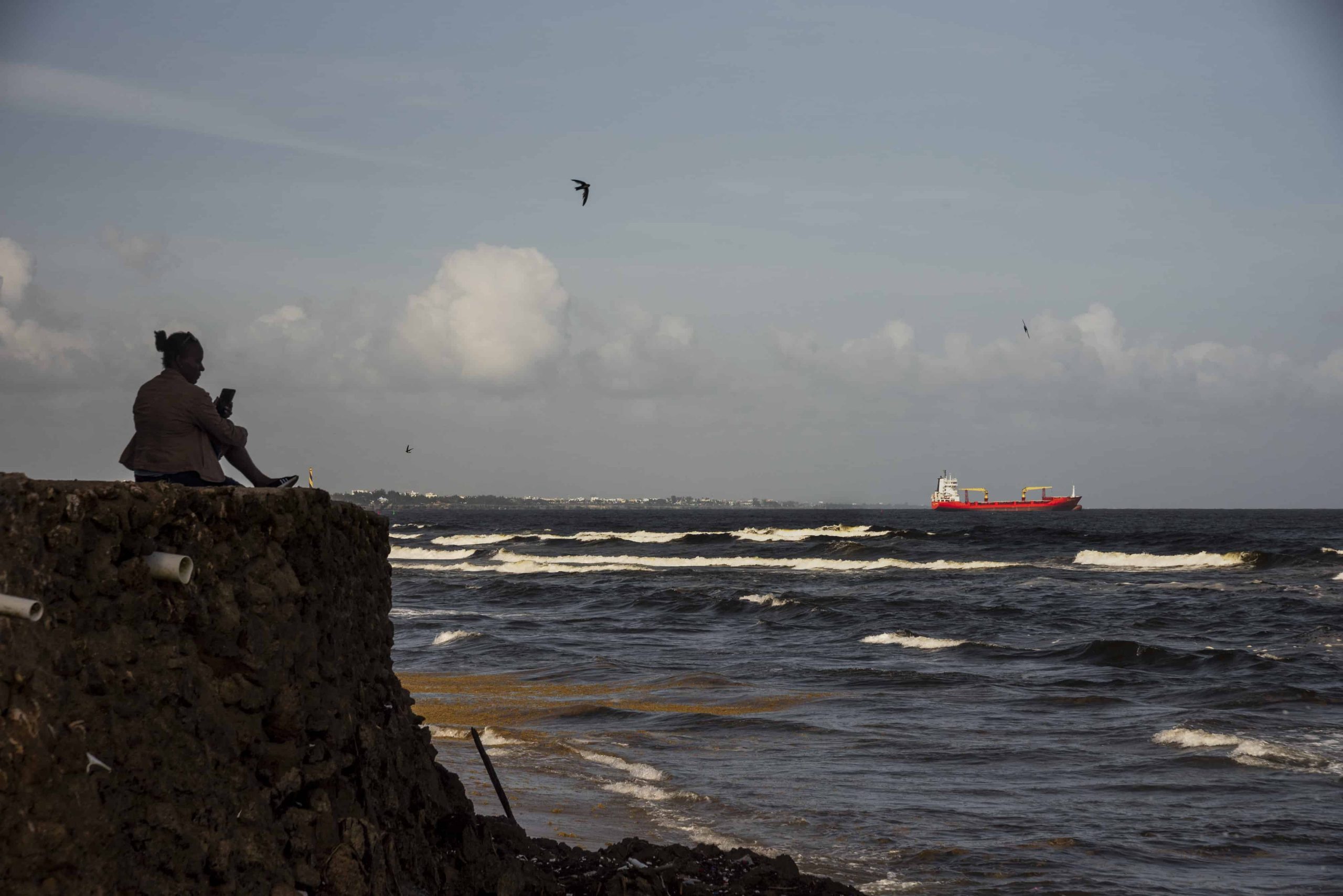 Día de los Océanos llega entre preocupación por contaminación marina y ...